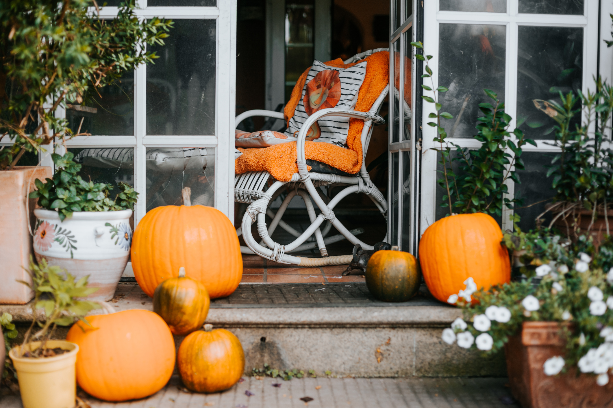 Using Fall Touch-Ups to Draw Buyers | Florida Realtors